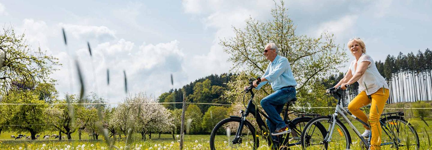 Retirement Income Style Awareness – RISA | GSI Financials