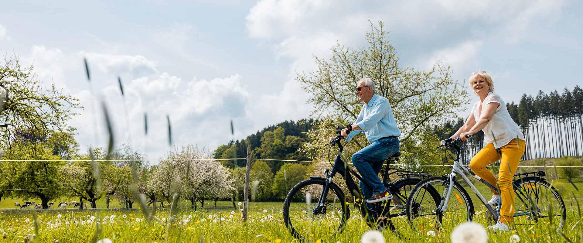 Retirement Income Style Awareness – RISA | GSI Financials